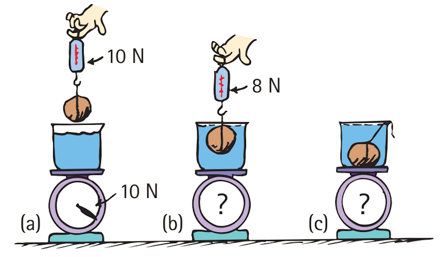 Buoyant Force and Archimedes Principle
